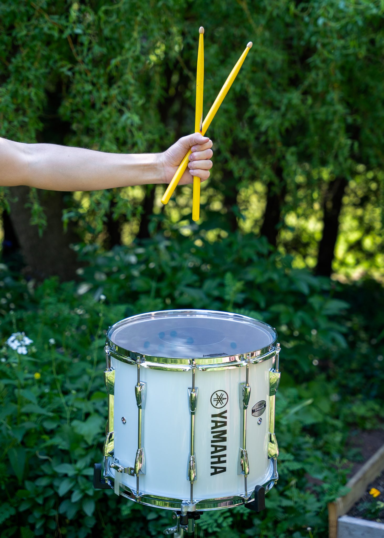 Instrument Library | Bandology